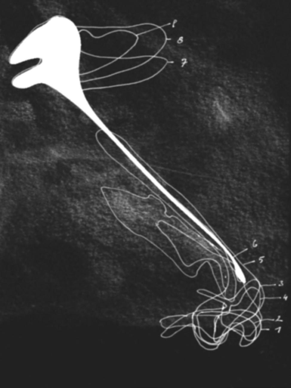 Mui Ho Fine Arts Library | Wolfgang Tschapeller Architektur