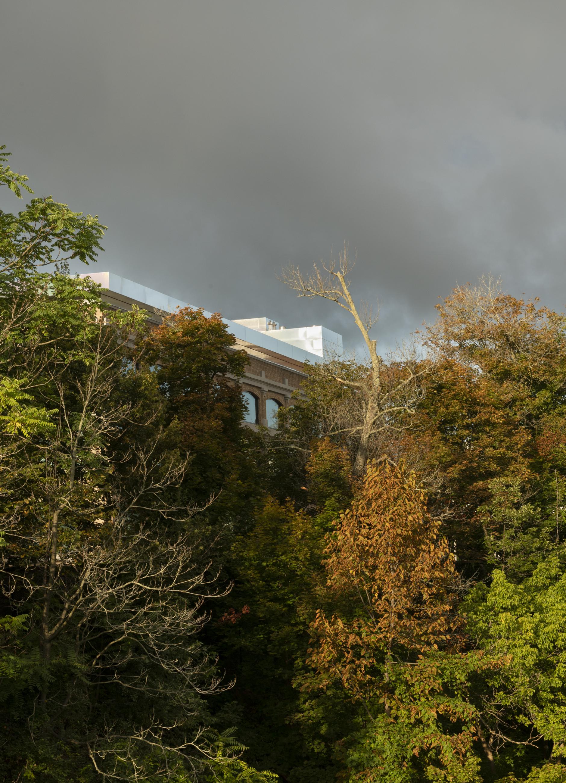 Mui Ho Fine Arts Library | Wolfgang Tschapeller Architektur